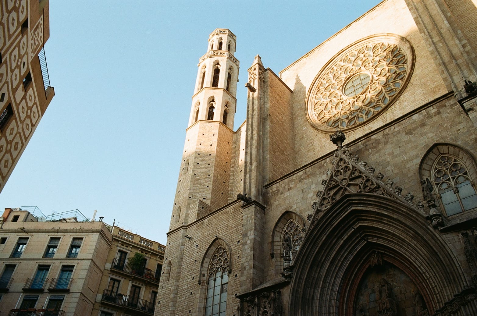 Spain (2020) - Tim Womble